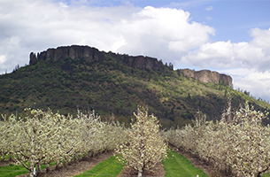 Hike Upper and Lower Table Rocks in Southern Oregon